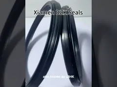 Cina Guarnizioni antipolvere in gomma NBR di alta qualità, guarnizioni per cilindri idraulici e anelli raschiatori LBHK/SCK in vendita