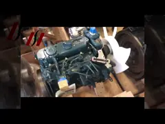 Kubota D902-EF08 Three-cylinder In-line Diesel Engine, The First Choice For Small Machinery