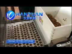 Sesame Candy Ball Production Line