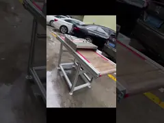 LED 365Nm UV Curing Conveyor Systems 20000H For Adhesive Curing