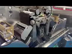 Chlorophyll Capsules Whole Body Deodorant Vitamins Parsley Regulates Microbiome