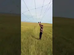 China Hot Dip Galvanized Cattle Fence Panel 8 Ft Height Fixed Knot Deer Wire Mesh Fence for sale