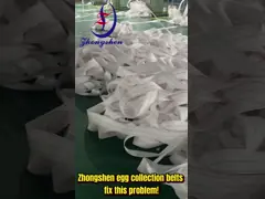 Advanced Multi-Layer Poultry Cage Zhongshen Egg Conveyor Belt