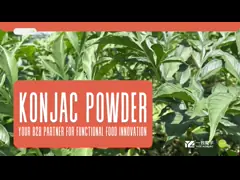Power Your Business with YIZHI Konjac Powder​