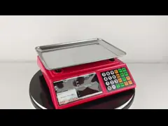 China Accurate Food Weight Measurement Battery Powered Rectangle Electronic LCD Display Weighing Scale 40 kg with 1g Division for sale