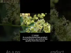 Cina Polistirolo all'ingrosso Honey Splash Bar Honey Pot Honey Jar For Honey Storage del commestibile in vendita