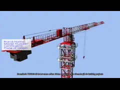 China Zoomlion 10 Ton 60 M Mini Hammerhead Tower Crane Tc7013-10 with Imported Engine for sale