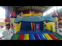 Inflatable PVC Bouncy Castle Park Children'S Small Indoor Bouncy Castle Slide