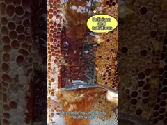 500g Natural Comb Honey Multi-Flower Light Yellow Food Grade,Delicious and healthy