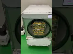 China Preserve Your Food with Home Freeze Dryer 24-30 Hours Freeze Dry Cycle Two-stage Baosi Vacuum Pump and Danfoss Compressor for sale