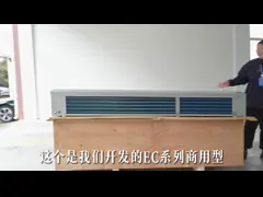 EC series commercial double-side air cooler