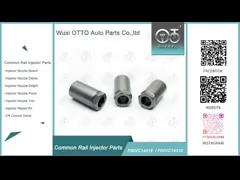 China Diesel Injector Nozzle Nut Cap F00vc14010 (F 00V C14 010) / F00VC14018(F 00V C14 018) Nozzle Retaining Nut For 110064 / 356 / 359 / 126 / 511 / 484 for sale