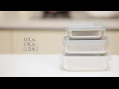 Stainless Steel Food Container with Silicone Lid