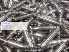 China Medical Grade 304 Stainless Steel Long Axis Spray Nozzle with ±0.01mm Tolerance and Ra 0.4μm Finish for sale