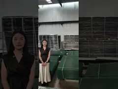 China Airport Perimeter Electric Security AOA Fence Fencing 50mmx100mm For Airport Area for sale