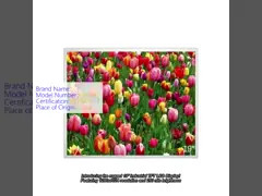 19 Inch TFT LCD Screen Panel Industrial LVDS Displays 1280x1024 Resolution