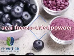 China Freeze-Dried Acai Berry Powder with 320-450mg Anthocyanins per 100g - 2 Year Shelf Life for Food & Supplements for sale