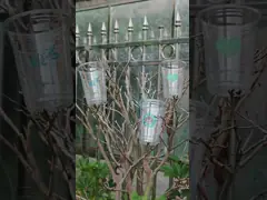 pet cold plastic cup