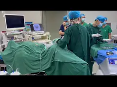 China Extended Length Ureteral Access Sheath Precision Control Access Sheath Urology for sale