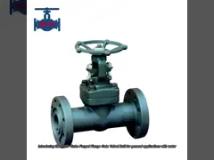 Turbo Forged Flange Gate Valve with ISO9001 ISO14001 Certification and A216-WCB Cast Steel Construction