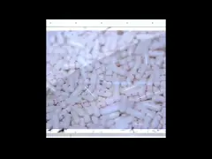 NAD+ Cell Anti Aging Capsule Activates Sirtuins To Reverse Aging Indicators