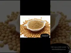 China Soya Meal Hi Protein 50% Protein, Natural Yellow Color, Powder Form | Non-GMO, Highly Digestible, Promotes Digestion, Suitable For Poultry And Aquatic Animals for sale