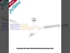 60±5W Silver Color 52