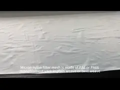 China 100 200 250 300 350 400 Mesh Count Paint Nylon Mesh Filter Woven Net Fabric Filter Cloth for sale