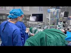 China Negative Pressure Ureteral Access Sheath Hydrophilic Stone Clearance Access Sheath Urology for sale