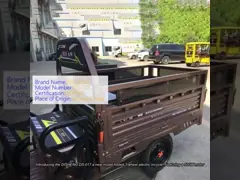 China New Model Folded 3 Wheels  500 W Leisure Tricycles for the  Mini Electric Motorcycle for sale