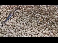 China High Blanching Rate Pneumatic Air Peanut Peeling Machine 1000kg/h Blanched Peanut Making Machine for sale
