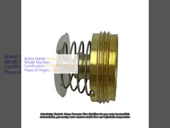 Custom Brass Gas Nozzle LPG Natural Gas Water Heaters