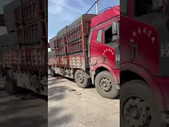 Cina Canalina portacavi in acciaio zincato ventilata, personalizzata non standard, verniciatura plastica ignifuga, ponte a vasca in vendita