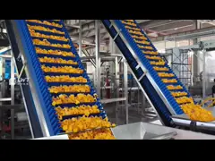 Filling Production Lines