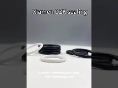 China Perfluoroelastomer (FFKM) O-Rings For High Temperature Specialty Rubber O-Ring for sale