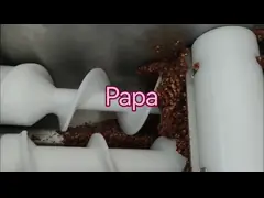 Papa small P307 dates bar machine with packing line testing video