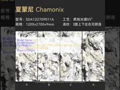 Welcome OEM Indoor Porcelain Tiles with 4 Patterns and Perfect Level