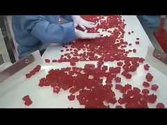 Fruit Flavored Natural Creatine Gummies Improves Gastrointestinal Tolerance