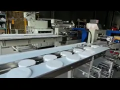 Automatic Horizontal Flow Wrapping Packing Machine Forbiscuit Packing Machine Fresh Fruits And Vegetables Pillow Bag Packing Machine