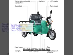 2000W Sidecar Adult Electric Tricycles