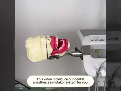 China Oral Anesthesia Training Model Realistic Gum Jaw Simulation for Injection Practice Dental Conduction Anesthesia Model for sale