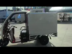 China Electric Refrigerated Vehicle Small Wheels Tricycle Solar-Powered -18C Cold Chain Transport Customization Support for sale