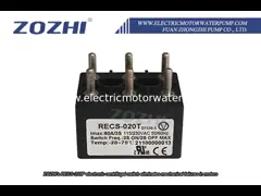 China RECS-205P Electronic Centrifugal Switch OEM Replacement for Motors with 50Hz/60Hz Applicability and Fast Shipping for sale
