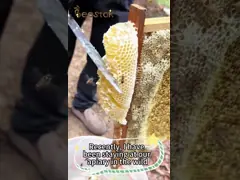 100% Natural  Honey Pure Raw Honey Healthy Food Natural Bee Honey for Wholesale