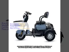 New OEM Thickened Frame 48V 60V Tuk Tuk Adult Folding Electric Leisure Tricycle