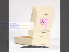 Custom Printed Corrugated Packaging Aircraft Box Versatile Packaging For Clothing Toys & Gifts