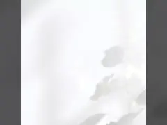 China Environment Friendly Wood Veneer Metal PVC Panel Fireproof Bamboo Charcoal Board for sale