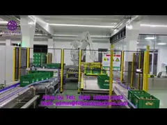 2010 V7 ABB configuration robotic palletizer