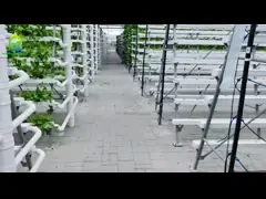 NFT 수경 재배 A자형 다층 PVC 양액 채소 재배