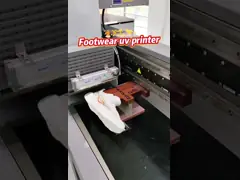 AC 220V/50Hz/60HZ Power Supply Single Pass UV Printer with Ricoh Gen 5i Nozzle